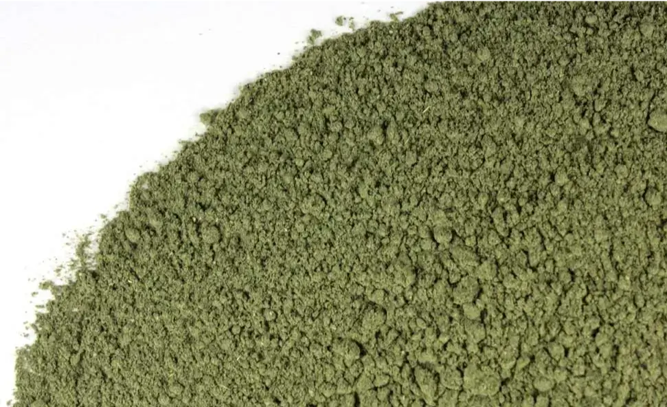 Nettle Leaf Powder - NY Spice Shop - Buy Nettle Leaf Powder Online