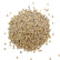 Eston Green Lentil (Eston Lentil) - NY Spice Shop - Buy Online