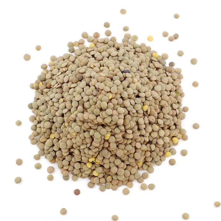 Eston Green Lentil (Eston Lentil) - NY Spice Shop - Buy Online