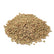 Eston Green Lentil (Eston Lentil) - NY Spice Shop - Buy Online
