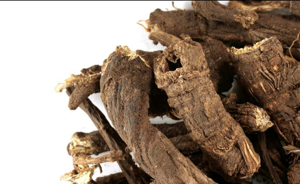 Osha Root Whole - NY Spice Shop - Buy Osha Root Whole Online